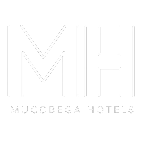 Services Menu Toggle